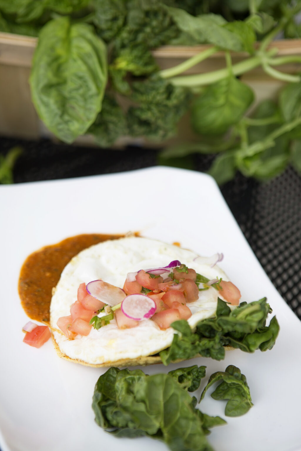 MAY 2013 FEATURED MENU - The Mayan Cafe